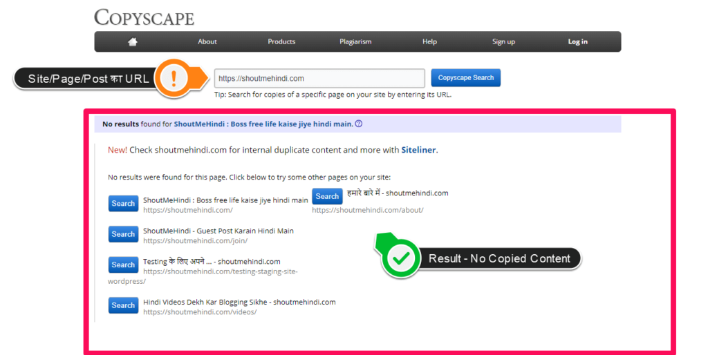 Plagiarism Kya Hai - Copied Content Checking Tools (Hindi Tutorial)
